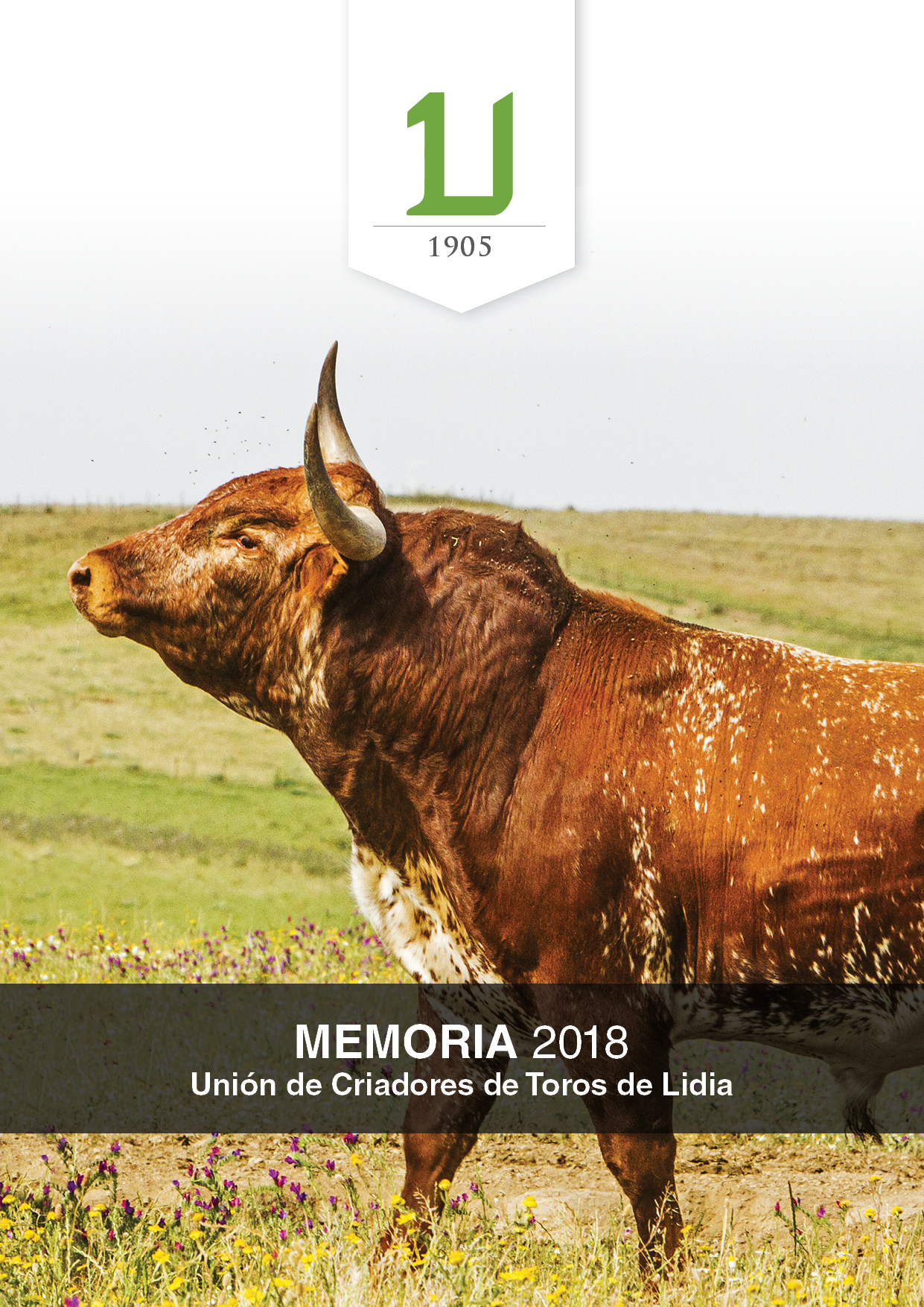 La Unión De Criadores Presenta Su Memoria 2018 Real Unión De